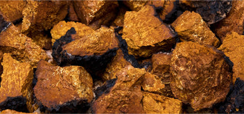 BOOM Chaga - Amazing Antioxidants, Beta-Glucans, and ZERO Oxalic Acid ...